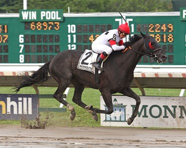 Slim Shadey (GB) - Horse Profile - BloodHorse
