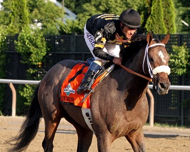 Oxbow - Horse Profile - BloodHorse