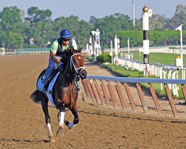 Overanalyze - Horse Profile - BloodHorse