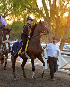 Tonalist - Horse Profile - BloodHorse