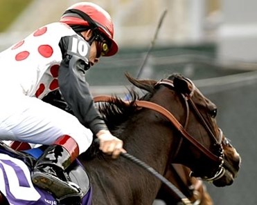 Breeders' Cup Mile - Slideshow - BloodHorse
