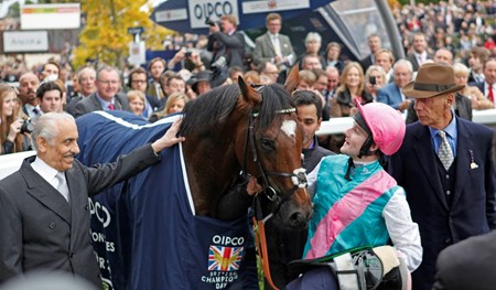 Frankel (GB) - Horse Profile - BloodHorse