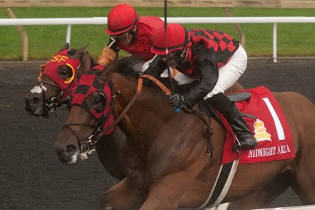 Midnight Aria - Horse Profile - BloodHorse