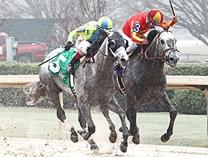 Race Day - Horse Profile - BloodHorse
