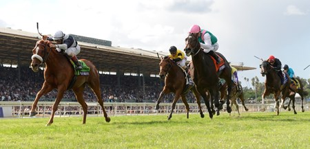 Main Sequence - Horse Profile - BloodHorse