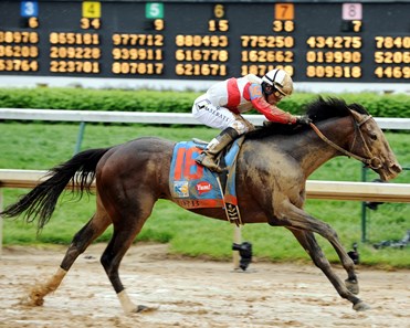 Orb - Horse Profile - BloodHorse