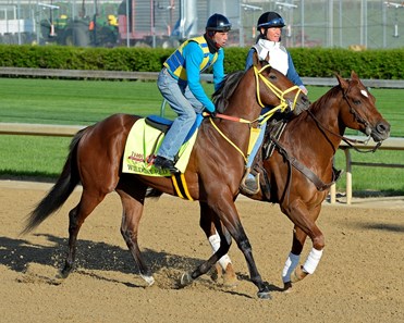 Wildcat Red - Horse Profile - BloodHorse
