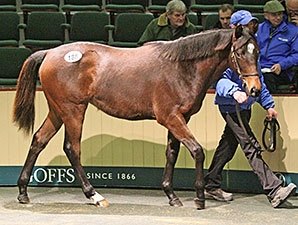 Shamardal Filly Tops Opening Goffs Session - BloodHorse