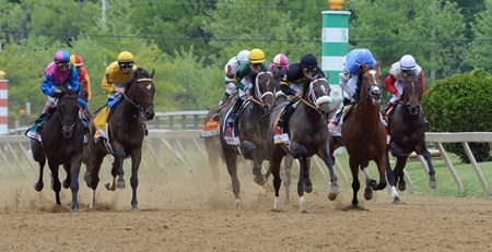 Oxbow - Horse Profile - BloodHorse