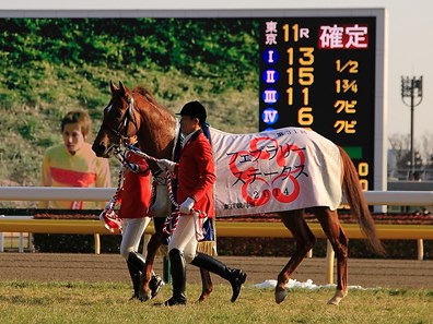 Copano Rickey (JPN) - Horse Profile - BloodHorse