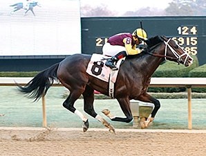 Golden Lad - Horse Profile - BloodHorse