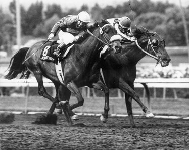 John Henry - Horse Profile - BloodHorse