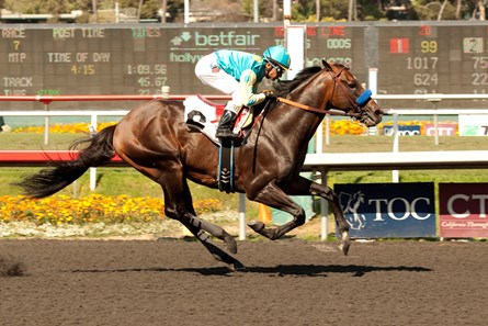 Paynter - Horse Profile - BloodHorse