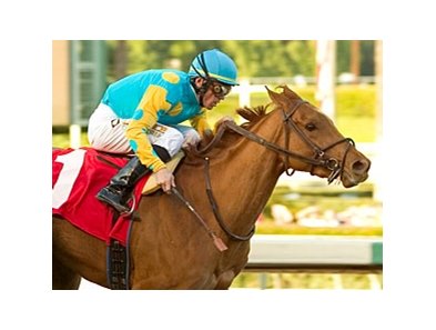 Bayakoa: Baroness Thatcher Makes Return - BloodHorse