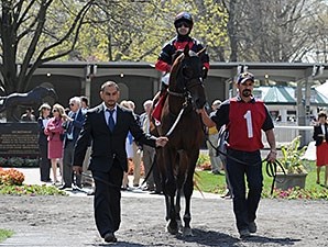Tonalist - Horse Profile - BloodHorse