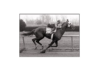 On This Day... - BloodHorse