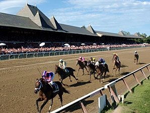 Spa Attendance, Handle Open Higher - BloodHorse