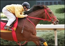 Afleet Alex Returns With Sharp Work at Oaklawn - BloodHorse