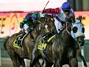 Jay Peg Dominates Singapore Cup Rivals - BloodHorse