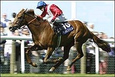 Classic Winner Russian Rhythm Retired - BloodHorse