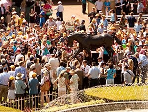 Fans Come Out Early to See Zenyatta Statue - BloodHorse