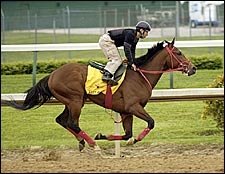 Afleet Alex Looks Good in Final Derby Prep - BloodHorse