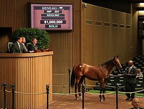 $1 Million Smart Strike Ridgling Tops Session - BloodHorse