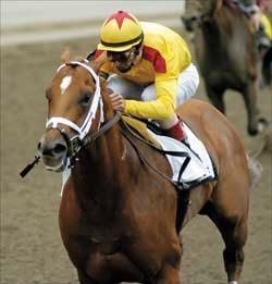 Sprint Preview: Henny Huge - BloodHorse