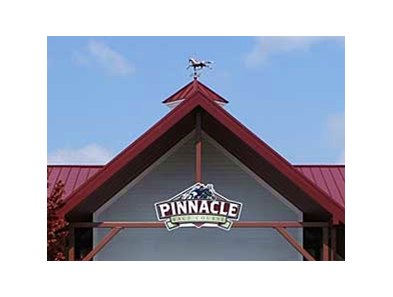 Pinnacle Back on Track With Race Dates - BloodHorse