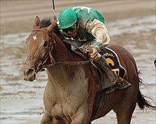 Afleet Alex Stays Unbeaten With Hopeful Win - BloodHorse