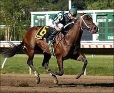 Vinery's Lantana Mob Strangles Sapling Rivals - BloodHorse