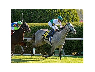 Sheppard, Strawbridge Together 42 Years - BloodHorse