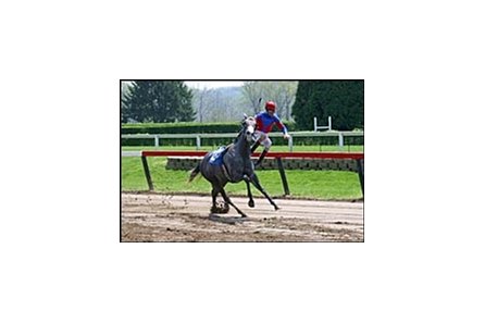 Jockey Sarvis Off Mounts 6-8 Weeks; Shoulder, Collarbone Injuries ...
