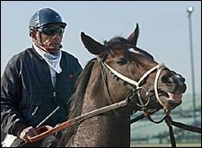 Saratoga Notebook: Sky Mesa Gallops; Smokey Glacken on Astarita Path ...