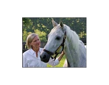 Gato Del Sol Dead - BloodHorse