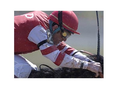 Jack Lauzon Wins Avelino Gomez Award - BloodHorse