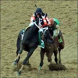 What a Finish! Afleet Alex Nearly Falls, Wins Preakness - BloodHorse