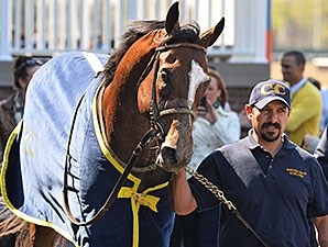 Tonalist - Horse Profile - BloodHorse