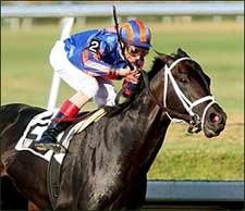 Bandini Barely Sweats in Skip Away Win - BloodHorse