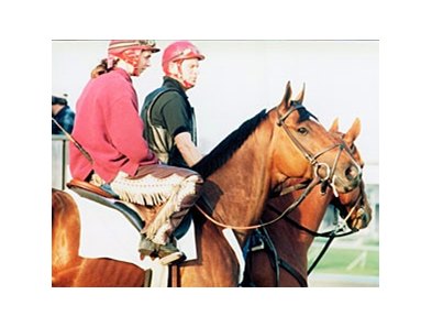 Victory Gallop in Canadian Hall of Fame - BloodHorse