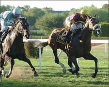 Trippi's Storm Blows Into Kelso Winner's Circle - BloodHorse