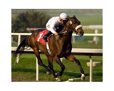 Tiz 2008 the Year for Colonel John? - BloodHorse