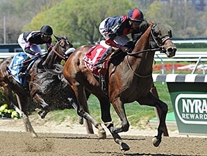 Tonalist - Horse Profile - BloodHorse
