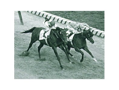 Northern Dancer on display at Woodbine - BloodHorse