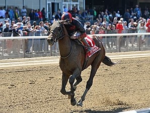 Tonalist - Horse Profile - BloodHorse