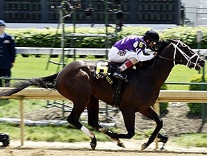 Competitive Edge - Horse Profile - BloodHorse