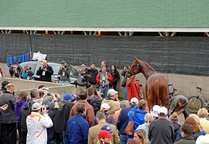 Dortmund - Horse Profile - BloodHorse