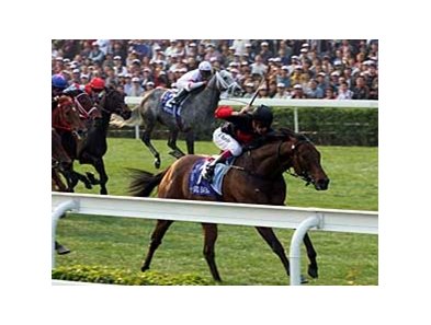 Good Ba Ba to be Moved to New Stable - BloodHorse