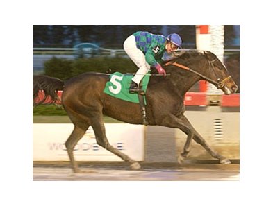 Canadian-Based Trainer Passero Dies at Age 77 - BloodHorse