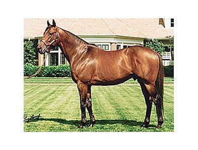 Smart Strike Nominated to Canadian Hall - BloodHorse